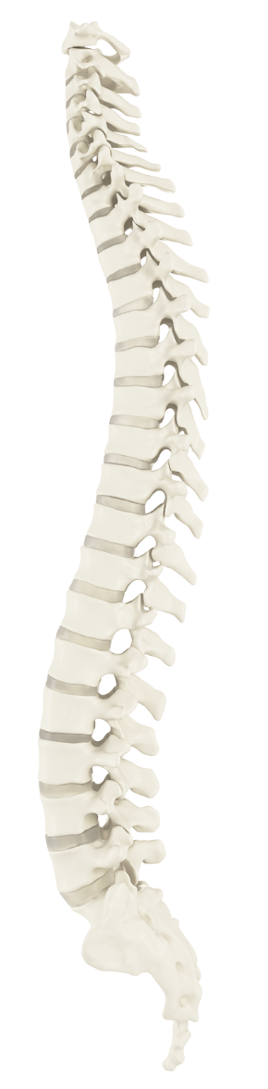 Devices & Systems for Endoscopic Spine Surgery – unintech